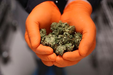 What Are The Penalties For Drug Trafficking In California?
